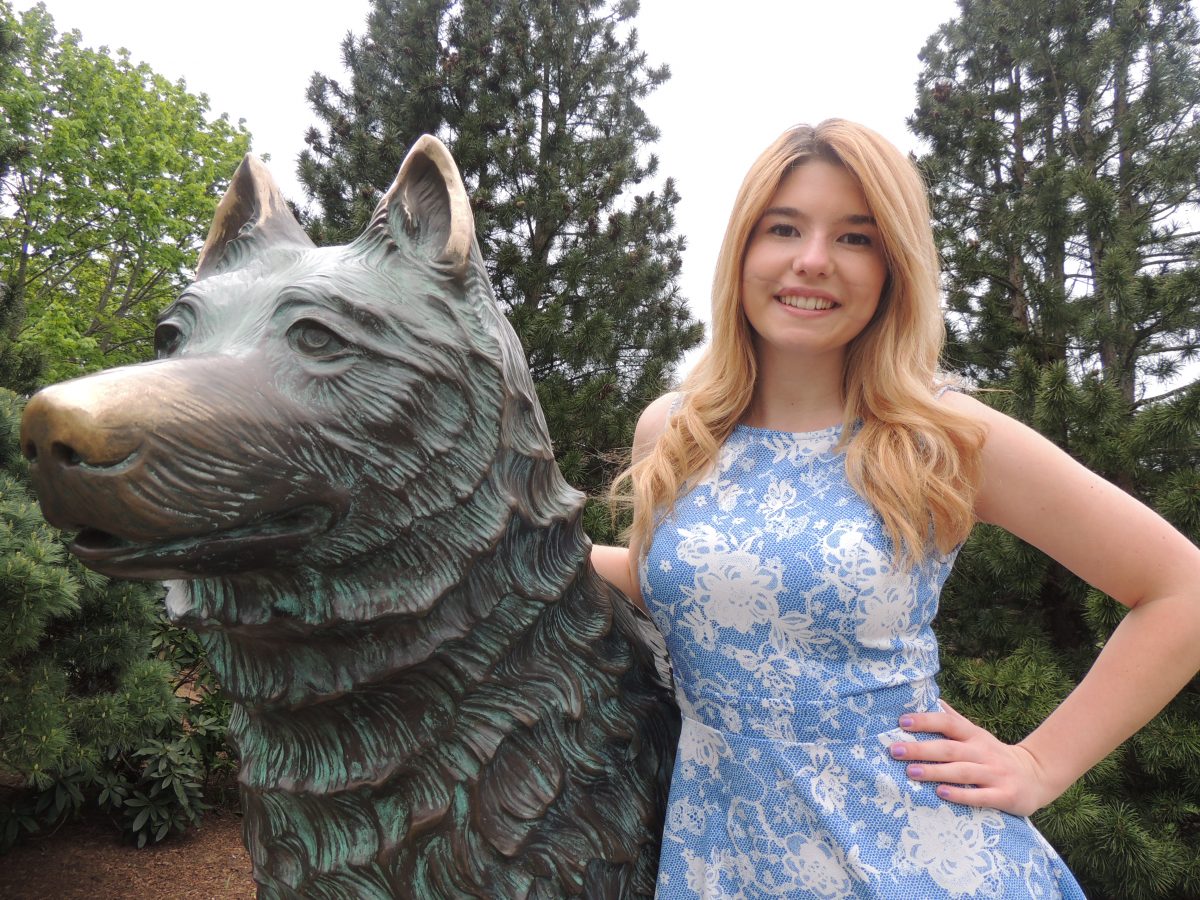 Casey Gargano | Orientation